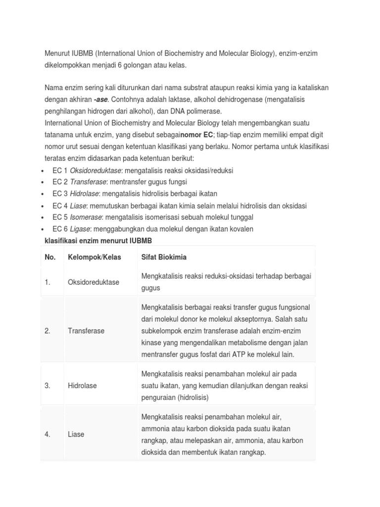 Macam-Macam Enzim | PDF