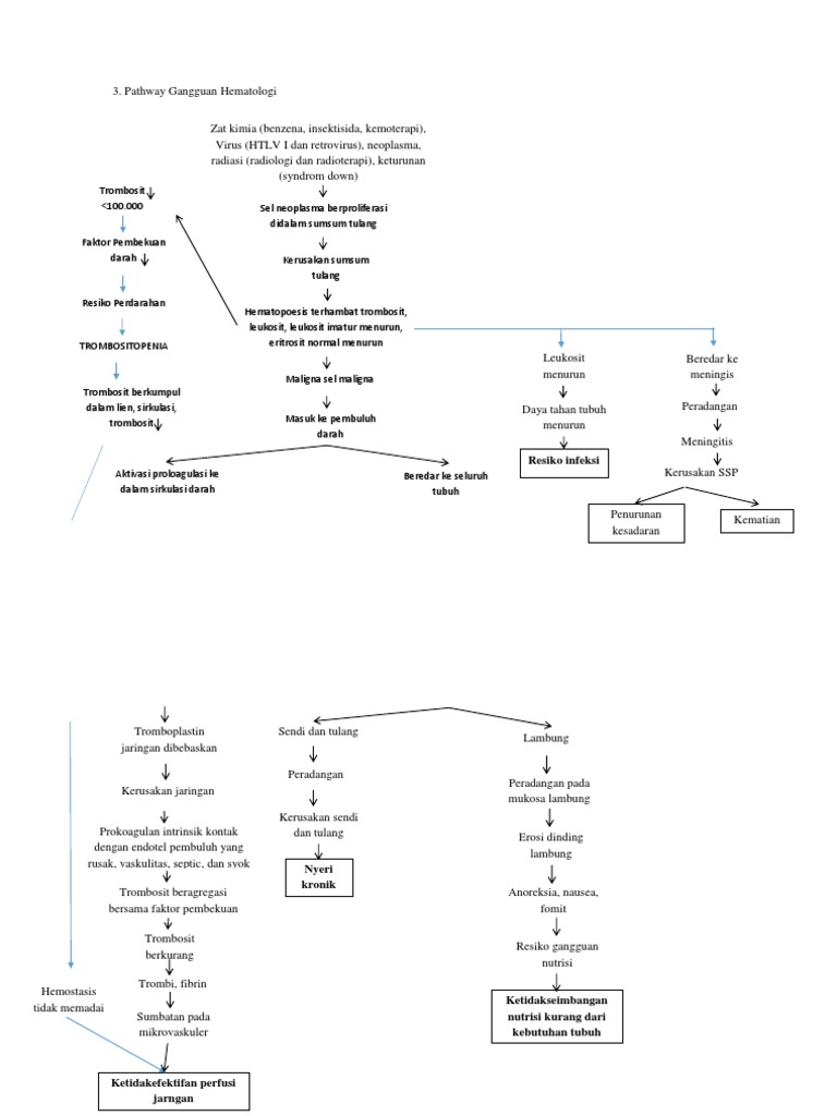 Pathway Neoplasma dalam Gangguan Hematologi | PDF