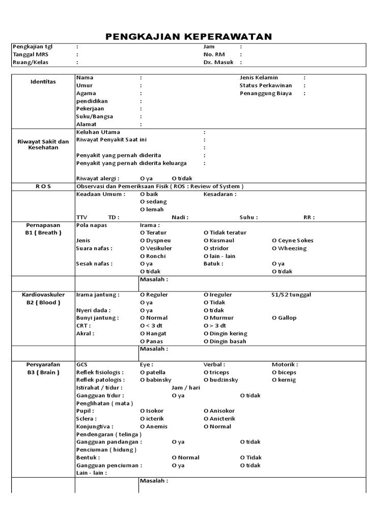 Pengkajian Data Dasar Dan Fokus | PDF