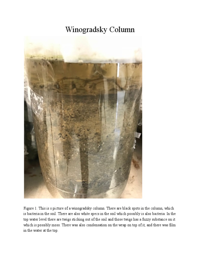 Winogradsky Column | PDF