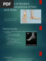 PTTI: Adult Flatfoot Insights | PDF | Foot | Ankle