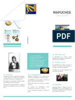 Los Mapuches Triptico | PDF | Pueblos Indígenas de las Américas