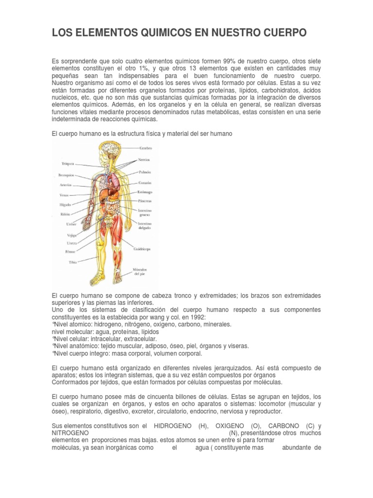 Elementos Químicos del Cuerpo Humano | PDF | Cuerpo humano | Nutrientes