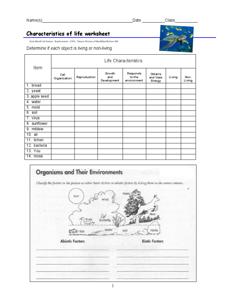 Characteristics of Life Worksheet | PDF