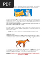 Verbos-Irregulares. Verbos Bota, Sombrero y Super | PDF