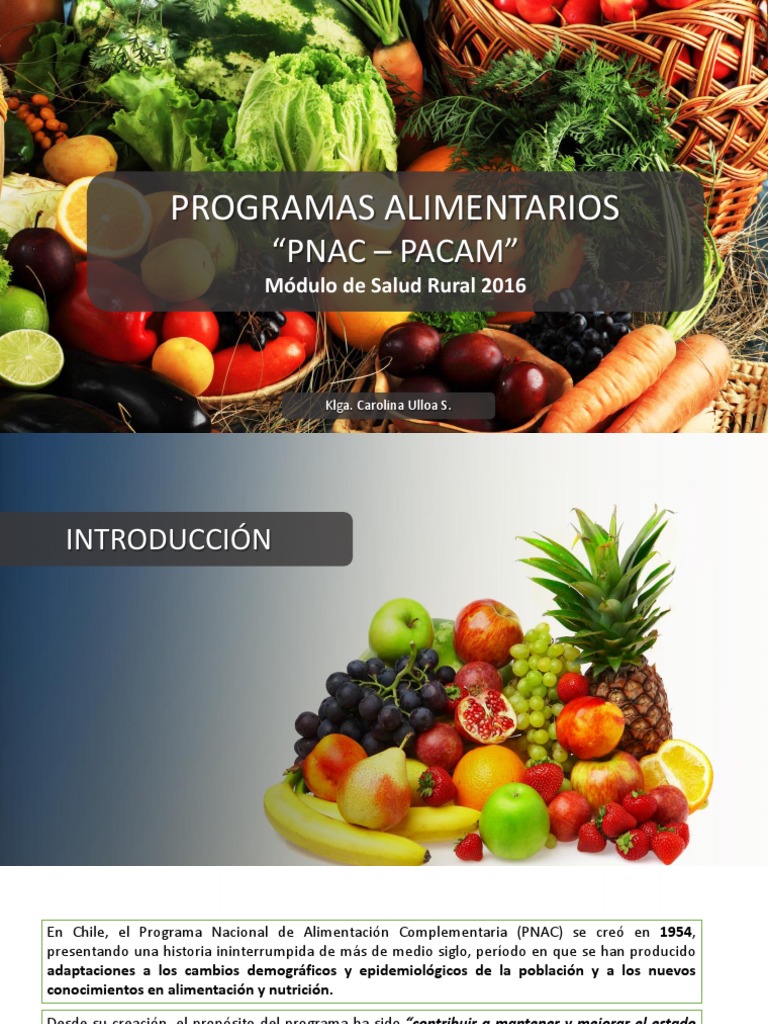 PNAC y PACAM: Programas Alimentarios en Chile | PDF | Desnutrición ...