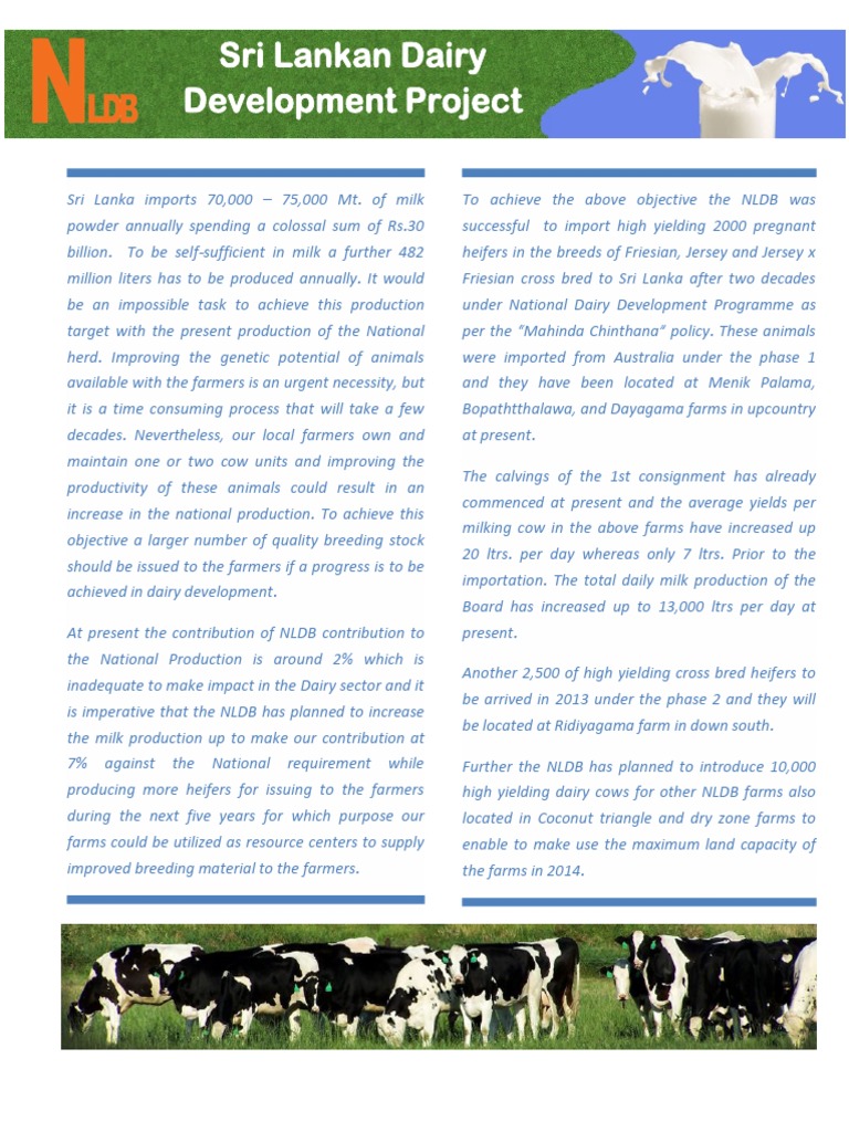Dairy Development Project PDF | PDF | Dairy | Cattle