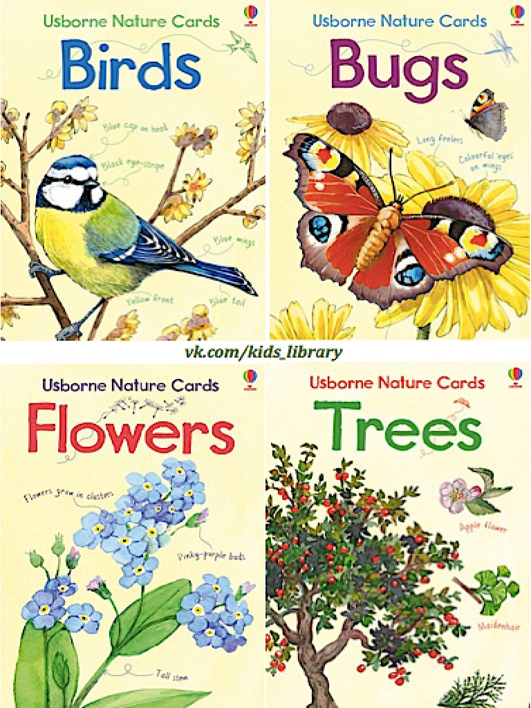 Nature Cards Mix Usborne | PDF