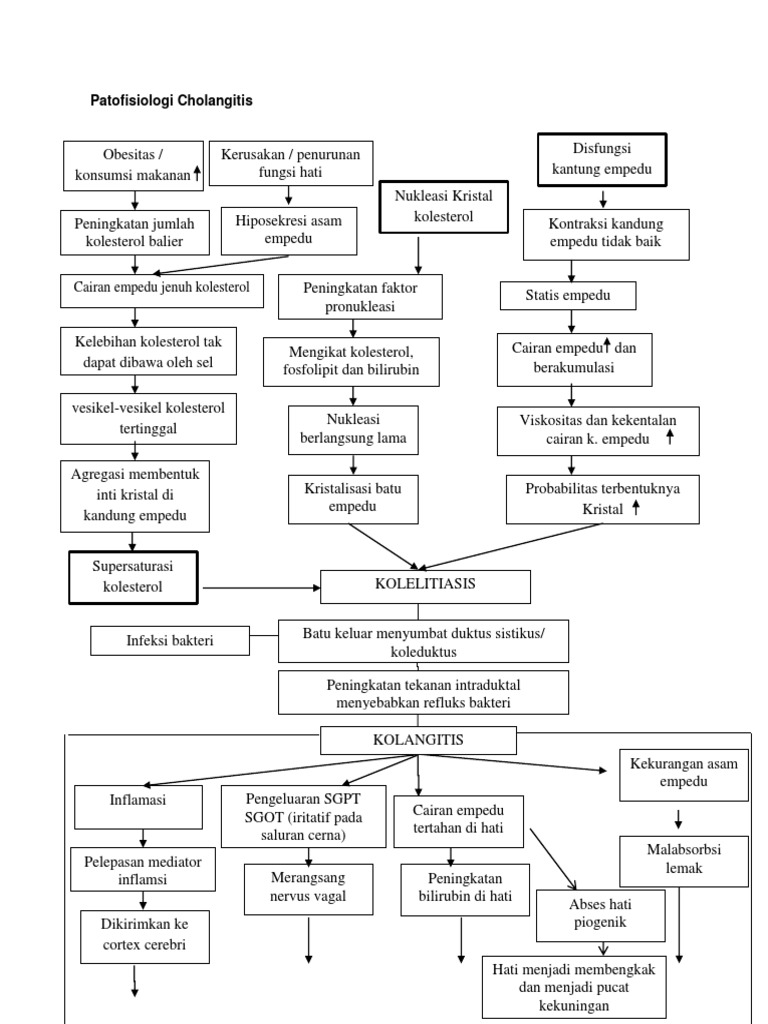 Patofisiologi dan Komplikasi Kolangitis dan Kolelitiasis | PDF