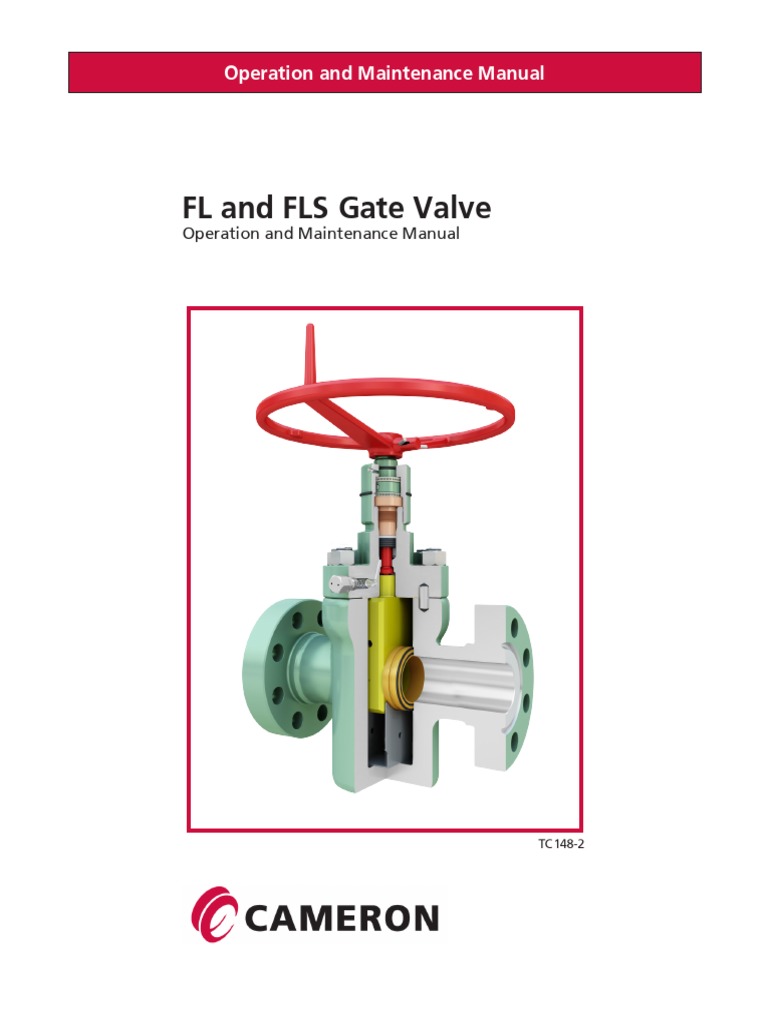 Man Valve OM FLS-TC148-2 O&M Rev08 Dec 2009 | PDF | Valve | Mechanical ...