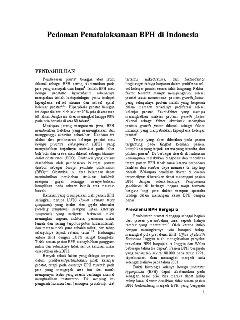 BPH Iaui PDF | PDF