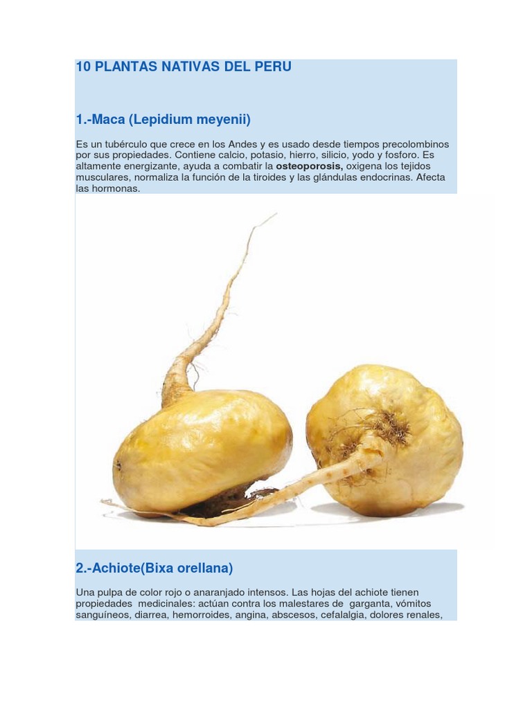 10 Plantas Nativas del Perú y Sus Usos | PDF | Vitamina C | Alimentos