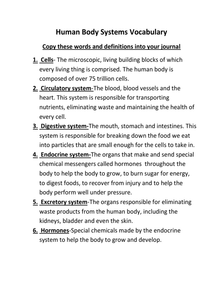 Human Body Systems Vocabulary | PDF