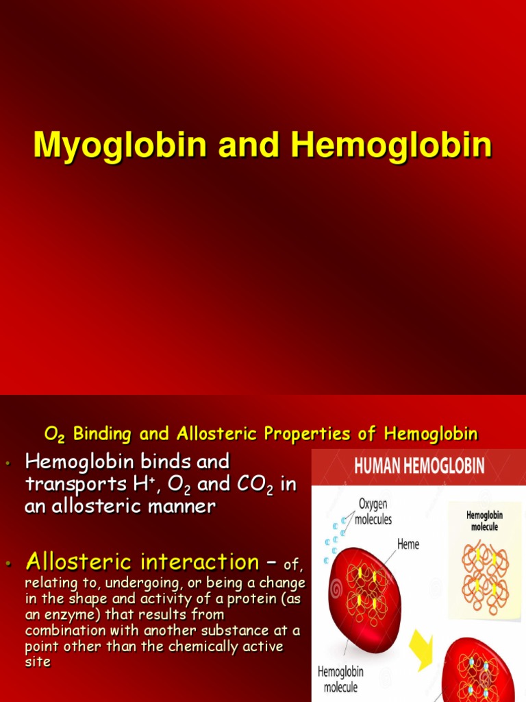 Hemoglobin | PDF | Hemoglobin | Sickle Cell Disease
