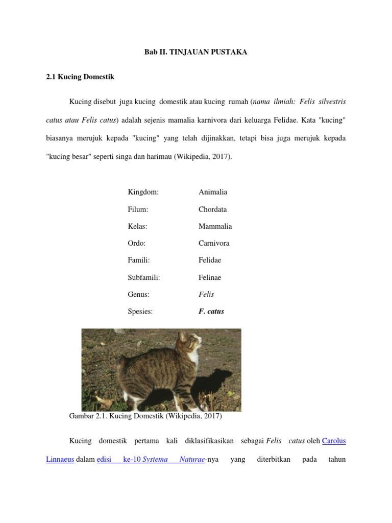 Klasifikasi Ilmiah Kucing Domestik | PDF | Griya & Taman | Fiksi Umum