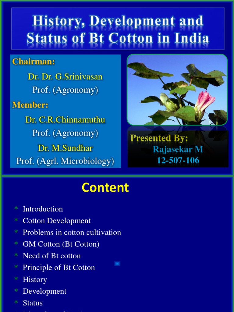 History, Development and Status of BT Cotton in India | PDF | Cotton ...