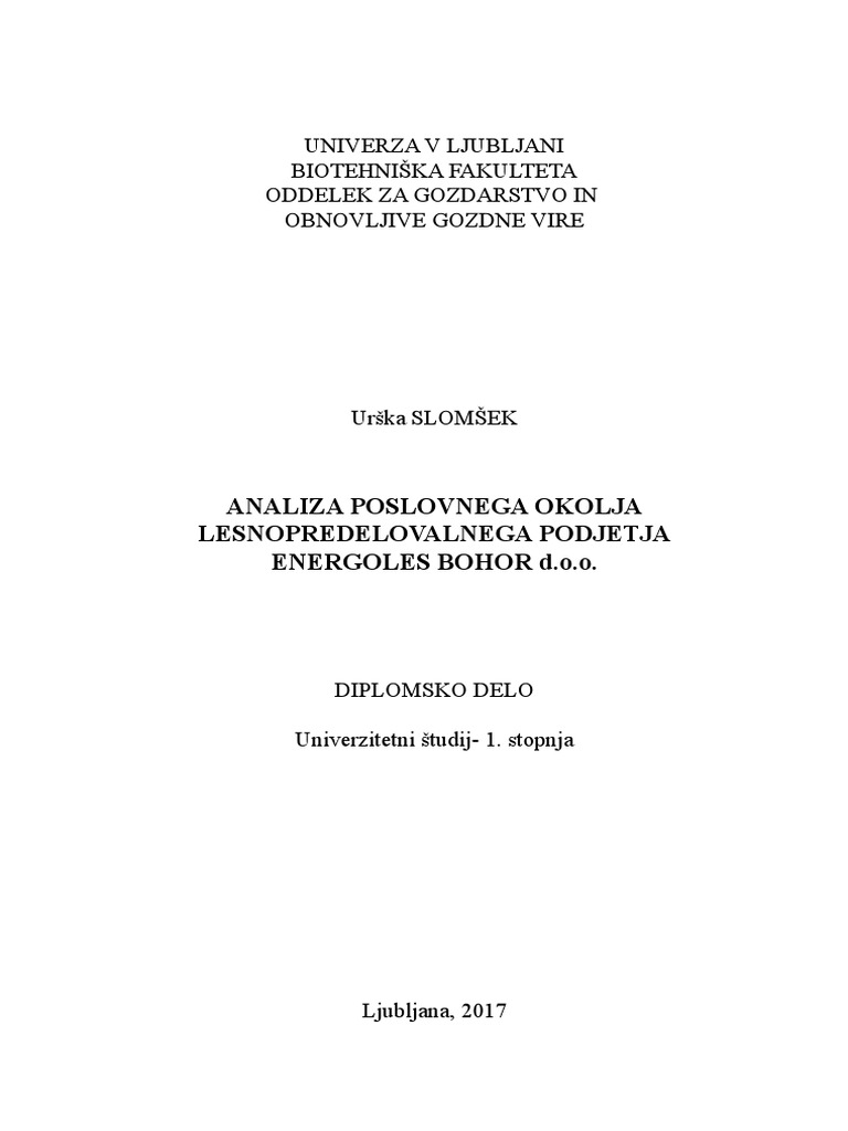 Diplomska Naloga - Urska | PDF