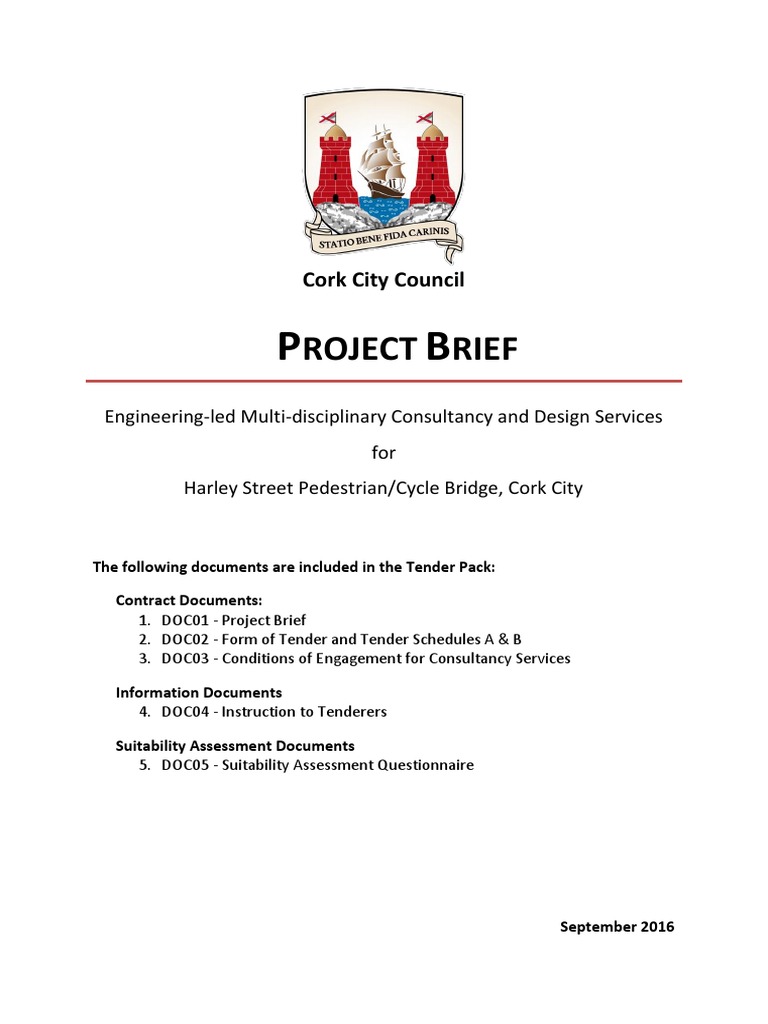 DOC01 - Project Brief PDF | PDF | Design | Environmental Impact Assessment