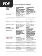 Raiz Axonomorfa | PDF | Raíz | Tallo de la planta