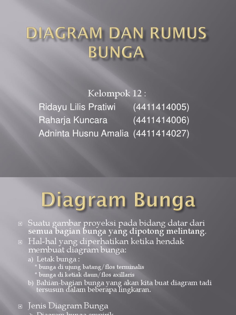 Diagram Dan Rumus | PDF