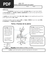 Guía N°3 Partes y Necesidades de Una Planta Ciencias Naturales Tercero ...
