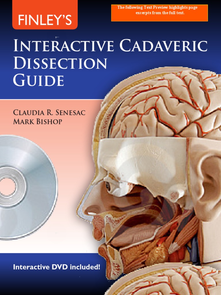 Finley Interactive Cadaveric Dissection PDF | PDF | Thumb | Arm