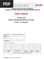 PETRONAS Organizational Structure 2024 | PDF