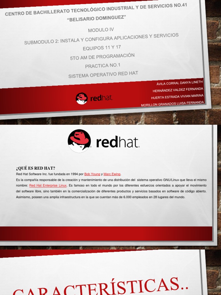 Red Hat | PDF | sombrero rojo | Informática
