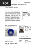 Prueba de Bial | PDF