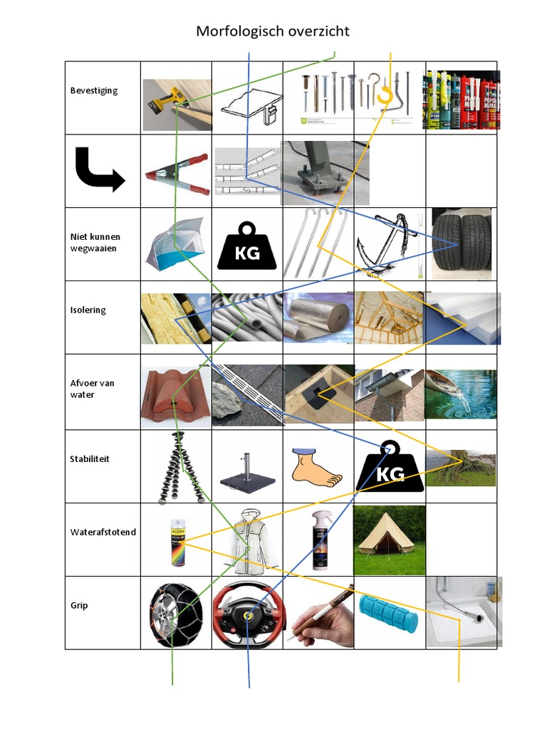 Morfologisch Overzicht | PDF