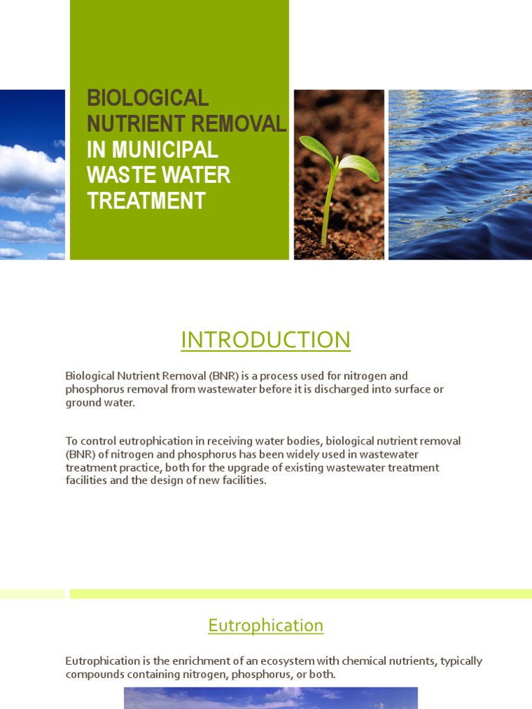 Biological Nutrient Removal | PDF | Eutrophication | Sewage Treatment