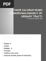 Normal Delivery Instrument Sets | PDF | Uterus | Surgical Suture