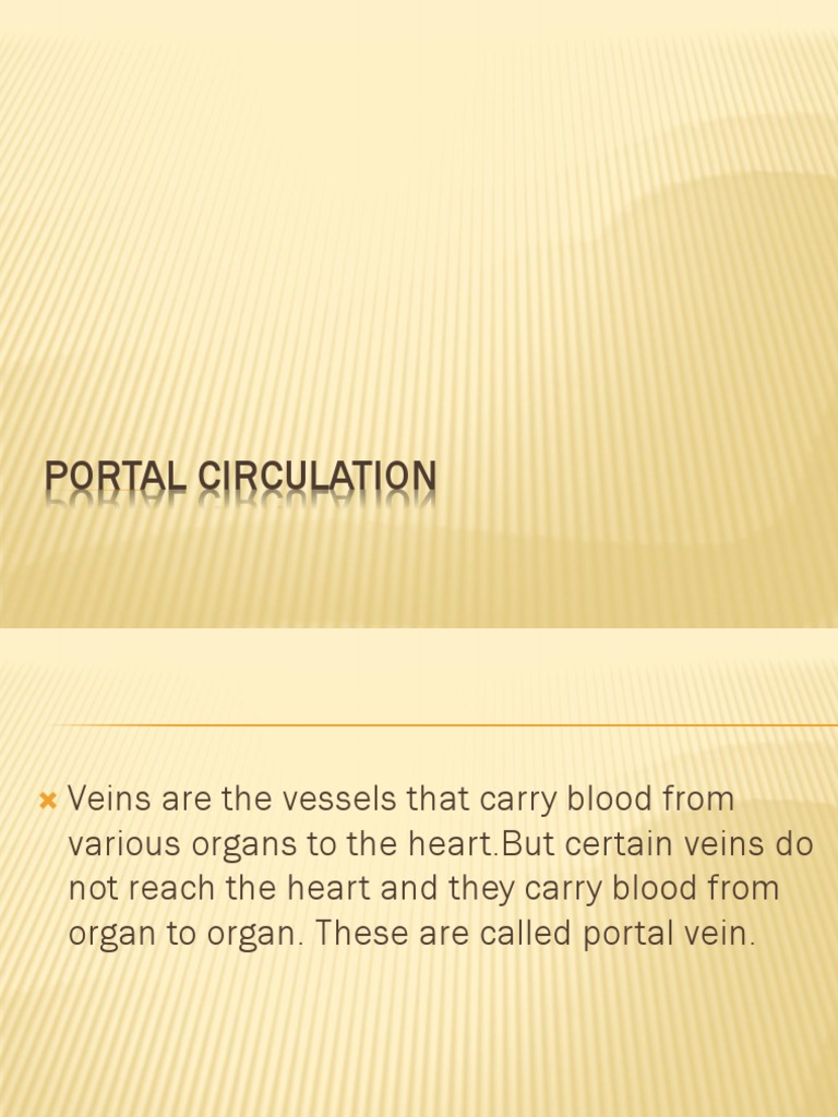 Portal Circulation | PDF