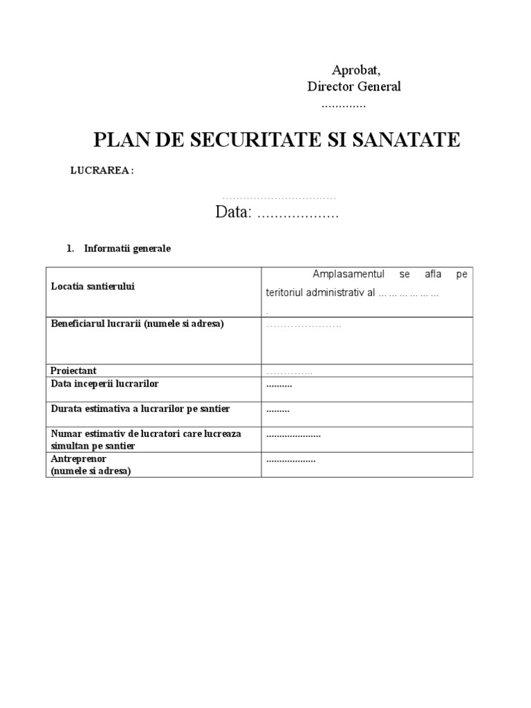Model Plan SSM | PDF