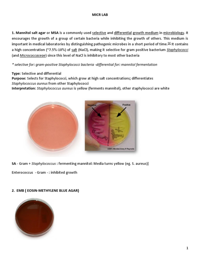 Micro Lab 1 | PDF | Growth Medium | Chemistry