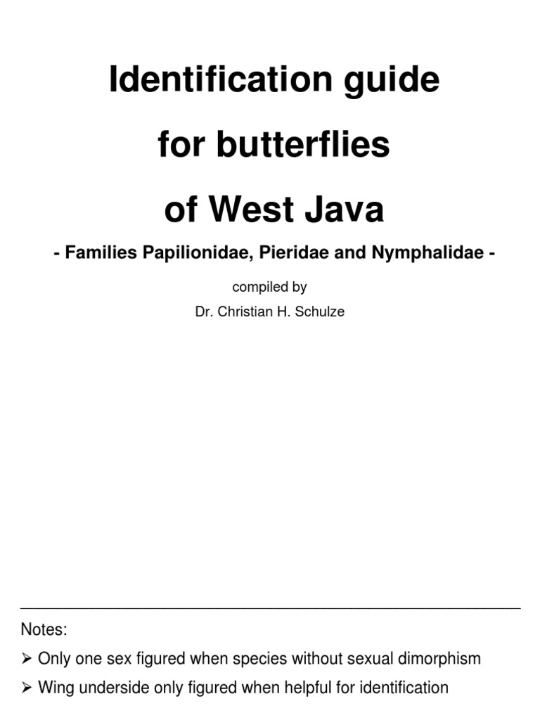 Butterflies W Java PDF | PDF | Butterfly | Lepidoptera