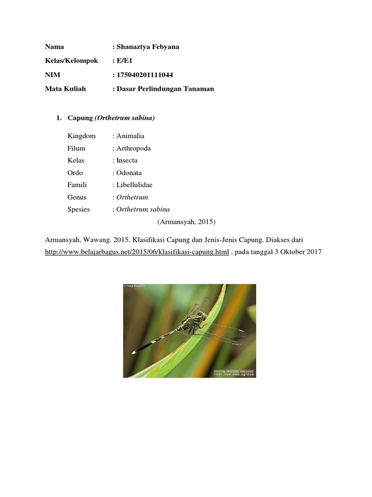 Klasifikasi Musuh Alami | PDF