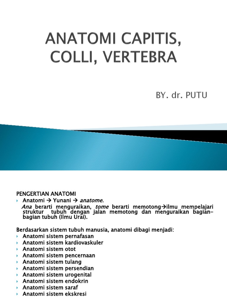 Anatomi Regio Capitis dan Colli | PDF