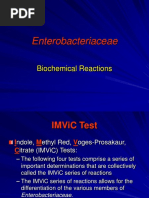 Biochemical Tests in Enterobacteriaceae | PDF | Chemical Compounds ...