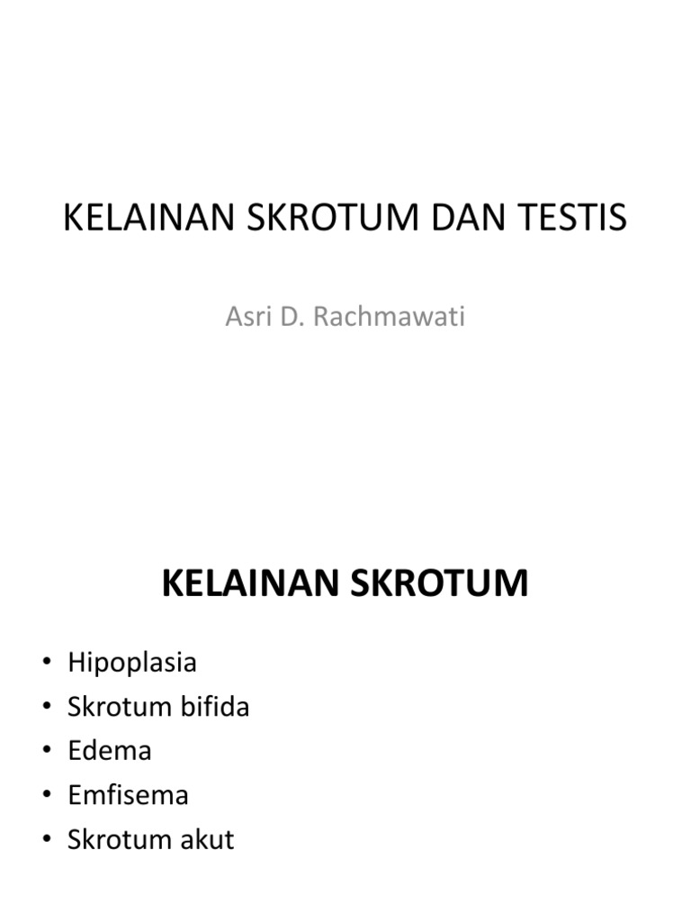 Kelainan Skrotum Dan Testis | PDF