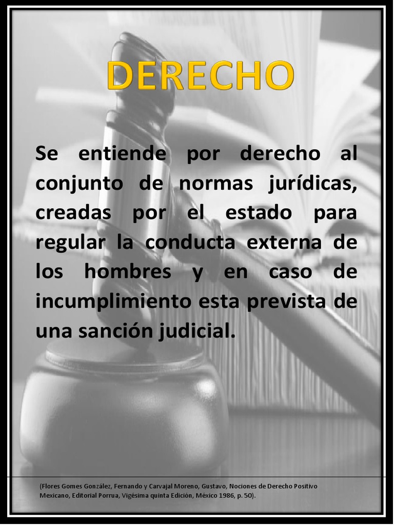 Derecho Definicion | PDF