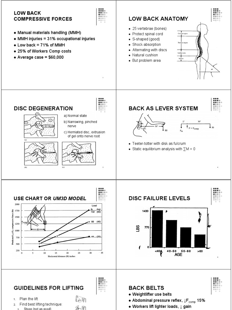 04 NIOSH Lifting Equation | Nature