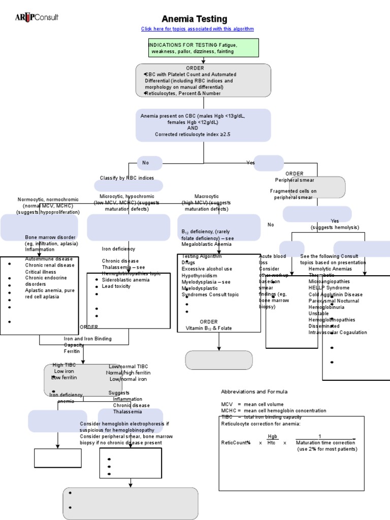 Anemia Testing Algorithm Anemia Hematology