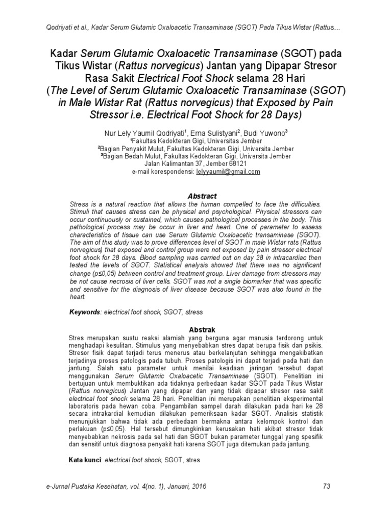 In Male Wistar Rat (Rattus Norvegicus) That Exposed by Pain Stressor I ...