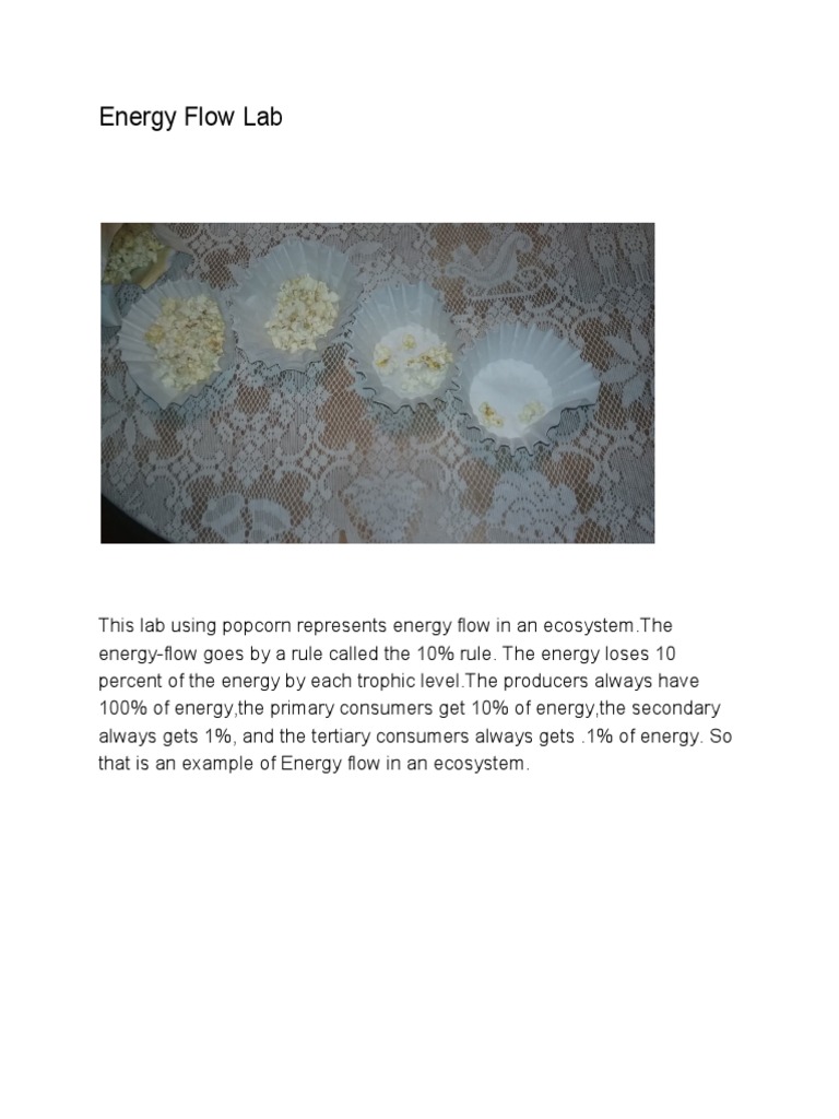 Energy Flow Lab 3 | PDF