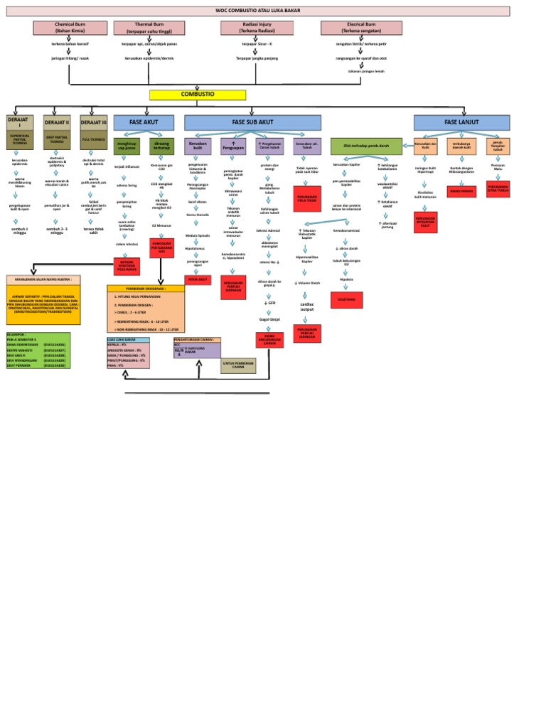 Woc Combustio k.6 P.karno | PDF