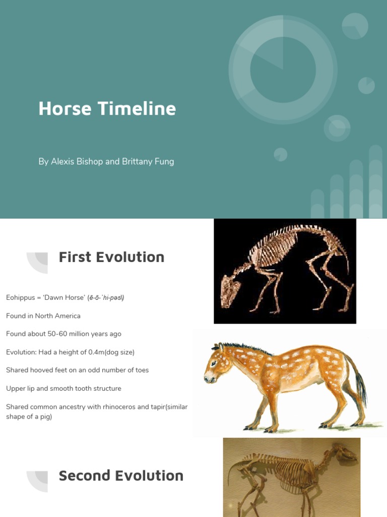 Horse Timeline | PDF