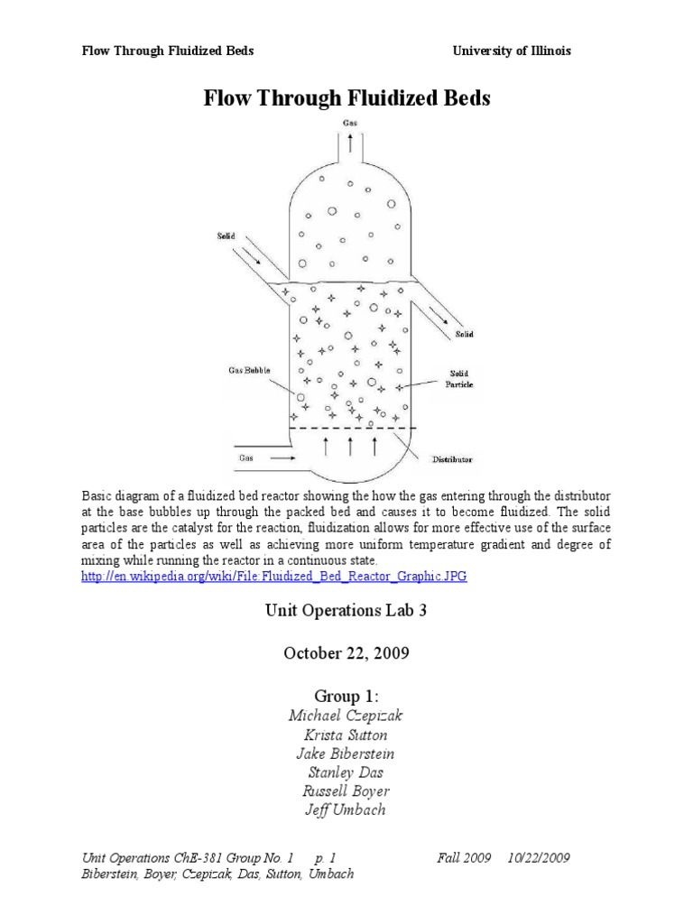 Final Lab Report Group 1 Flow Through Fluidized Beds.doc | Fluidization | Chemical Reactor