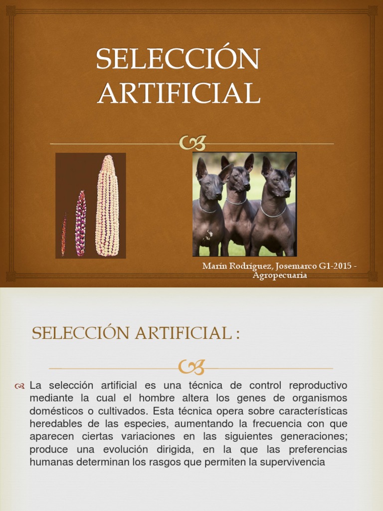 Selección Artificial | PDF | Crianza selectiva | Domesticación