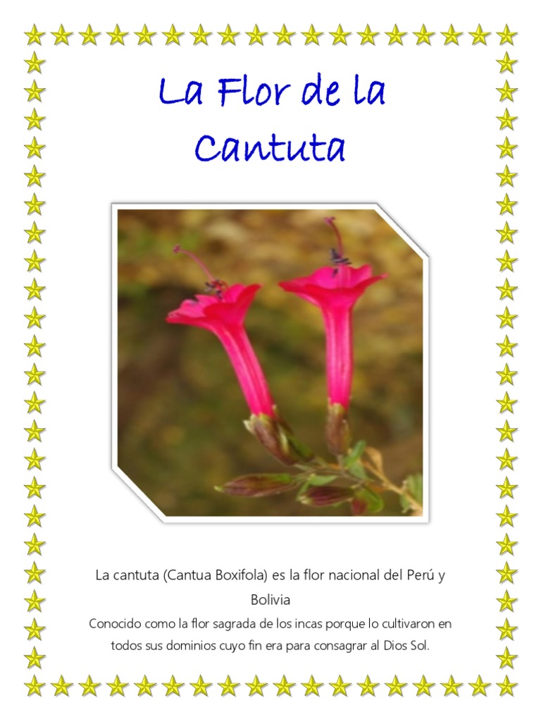 La Flor de La Cantuta | PDF